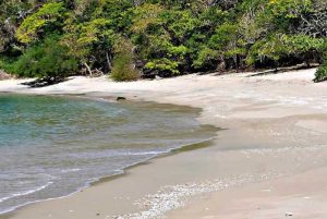 Bahía Chachacual - Conoce Bahías de Huatulco, Oaxaca, México